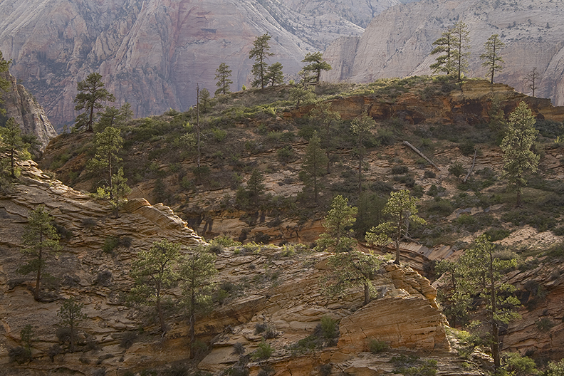 Stand up for Wilderness in the EXPLORE Act