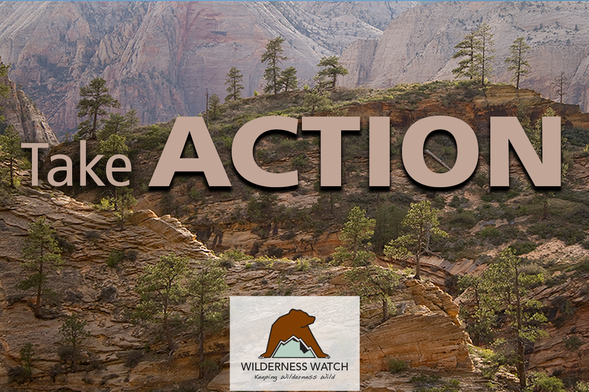 Stand up for Wilderness in the EXPLORE Act