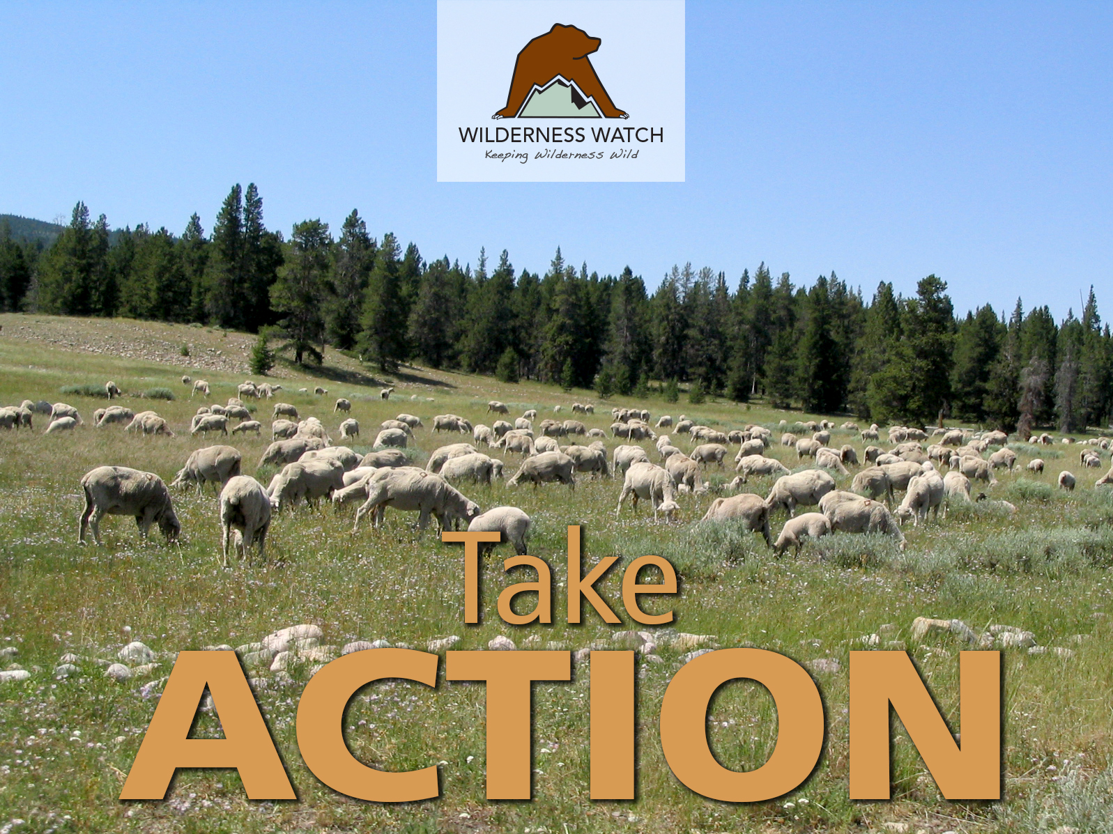 Help protect fragile, high elevation alpine basins in the High Uintas ...