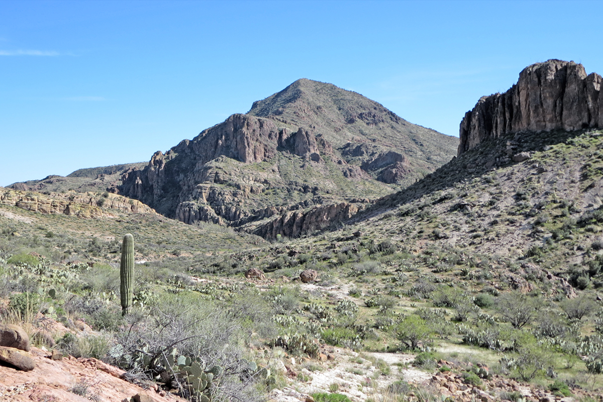 Protect the Arrastra Mountain Wilderness