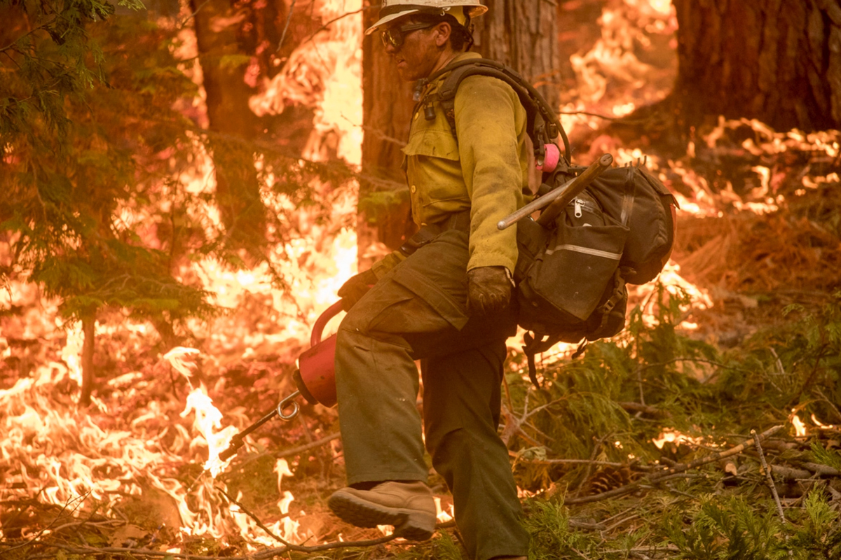 Help save over 842,000 acres of Wilderness from burning plan