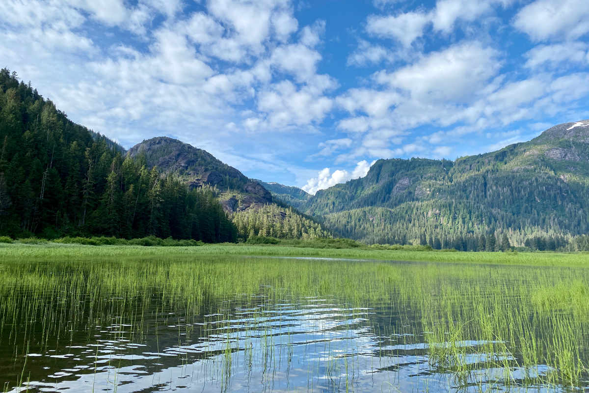 Urgent action needed today to defend Wilderness!